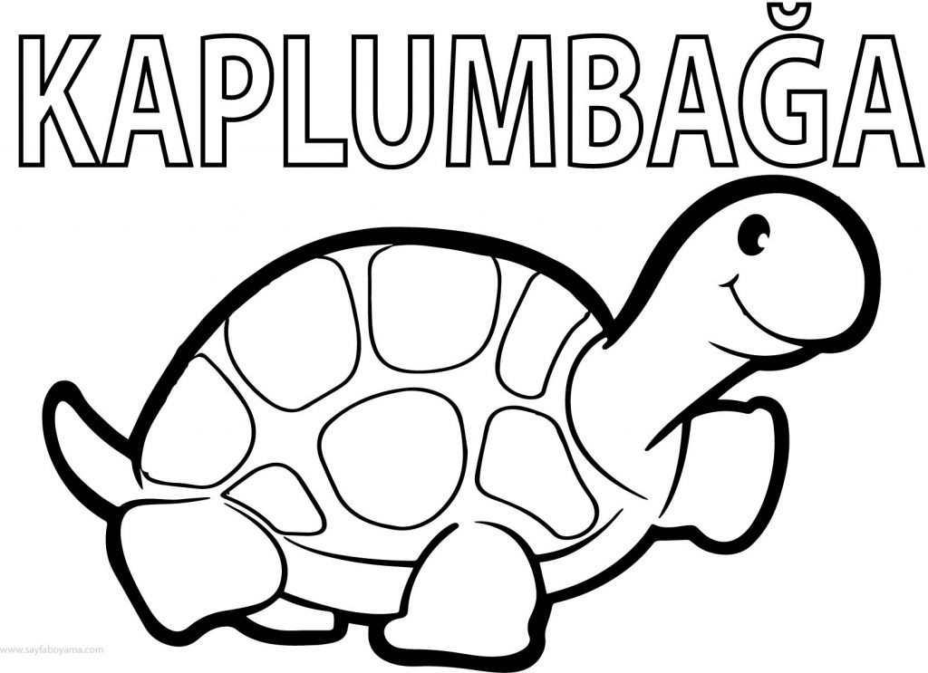 Sevimli Kaplumbağa Boyama Sayfası - Sayfa Boyama Sevimli Kaplumbağa Boyama Sayfası - Sayfa Boyama